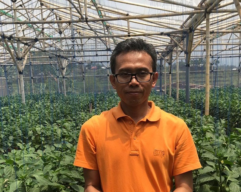 Minyak Akar Wangi dari Petani Organik Garut Ini Tercium Hingga Swiss