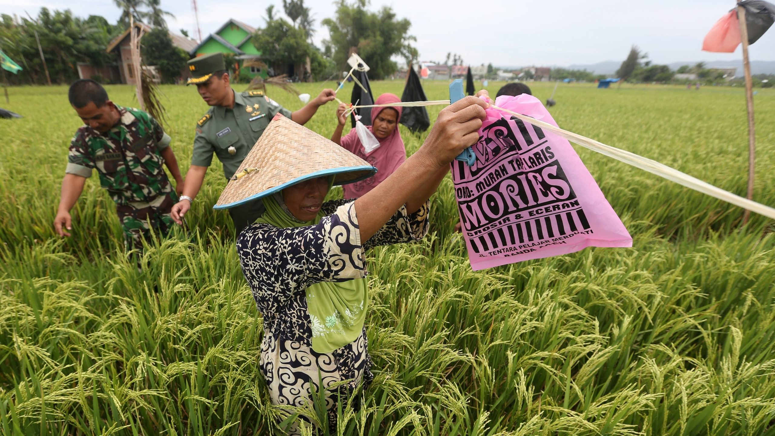 Komitmen Pemerintah Dalam Menjaga dan Perkuat Ketahanan Pangan Nasional